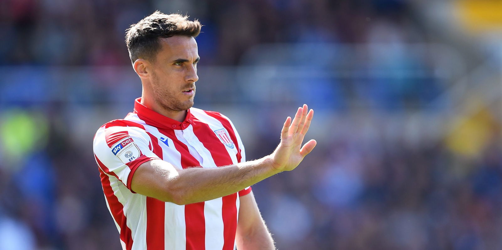 Could Cardiff City move for Stoke City striker Lee Gregory this summer ...