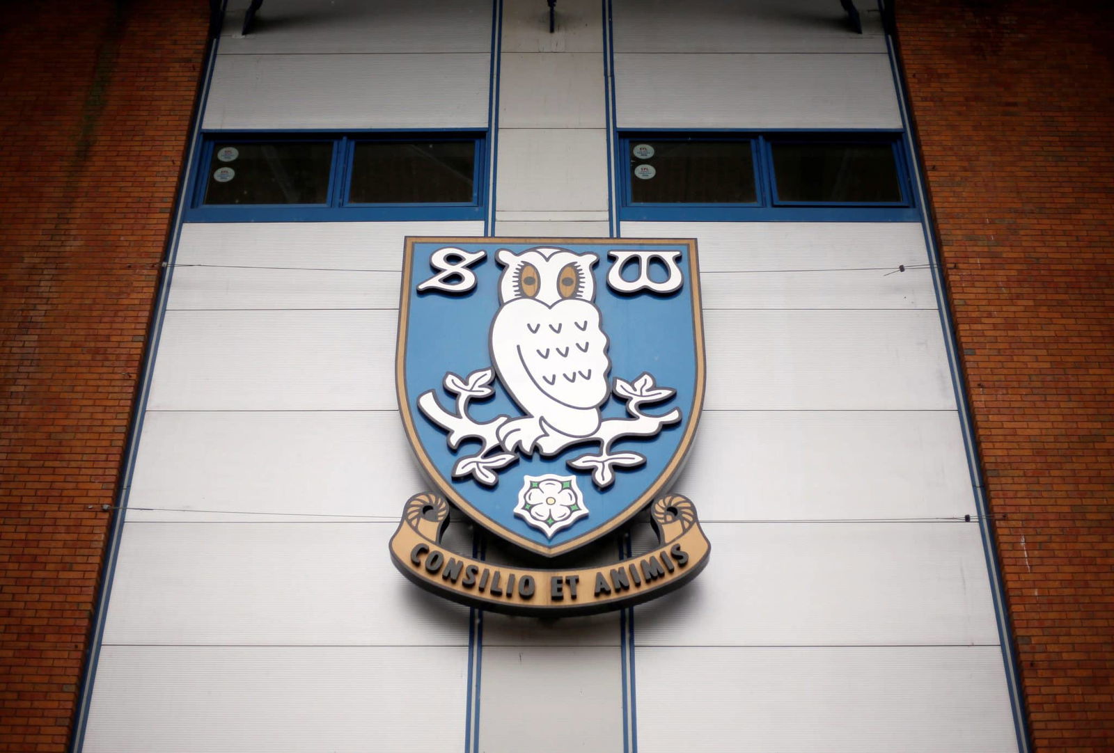 Sheffield Wednesday: Shea Callister trial decision made