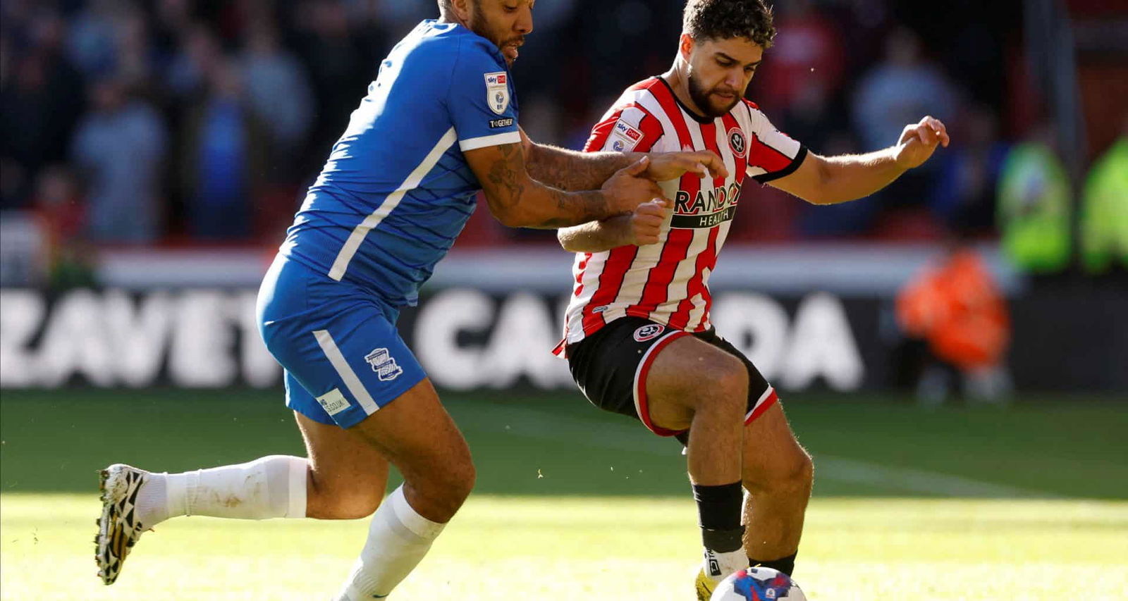 Major update shared on Brighton man Reda Khadra's Sheffield United ...
