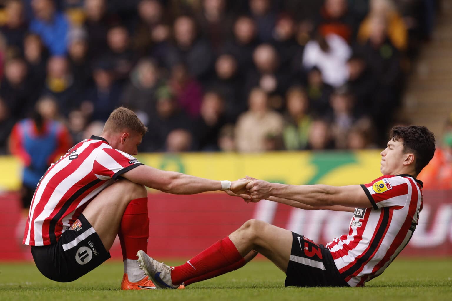 Sunderland: Luke O'Nien hailed by EFL pundit George Elek