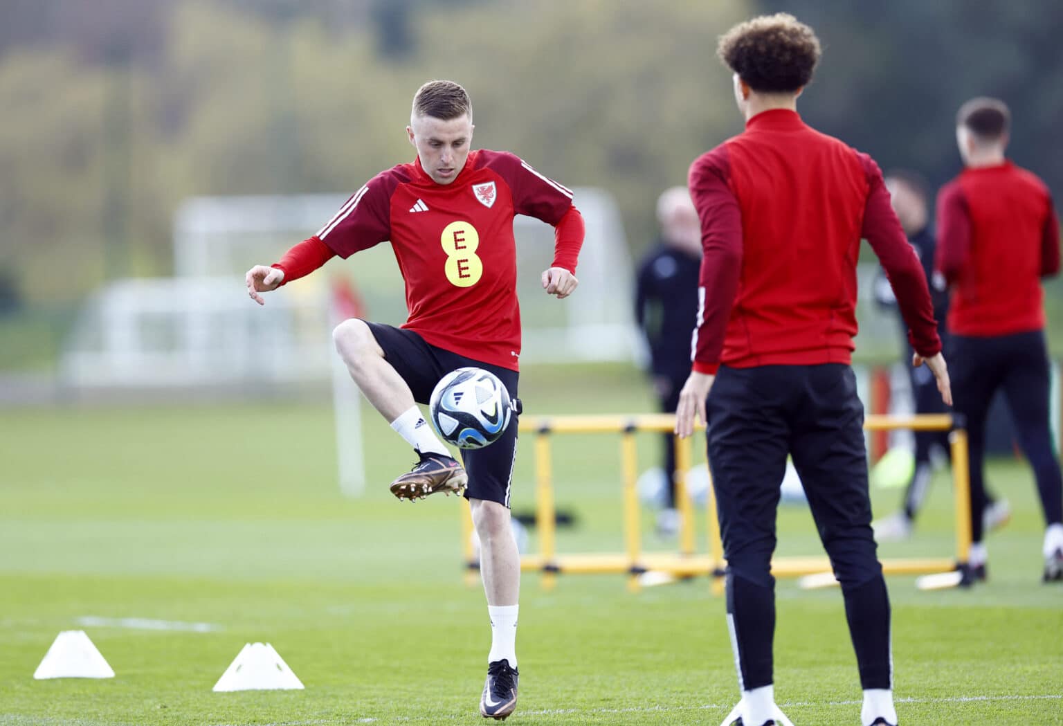 Joe Morrell: Ex-Portsmouth, Bristol City man retires aged 28