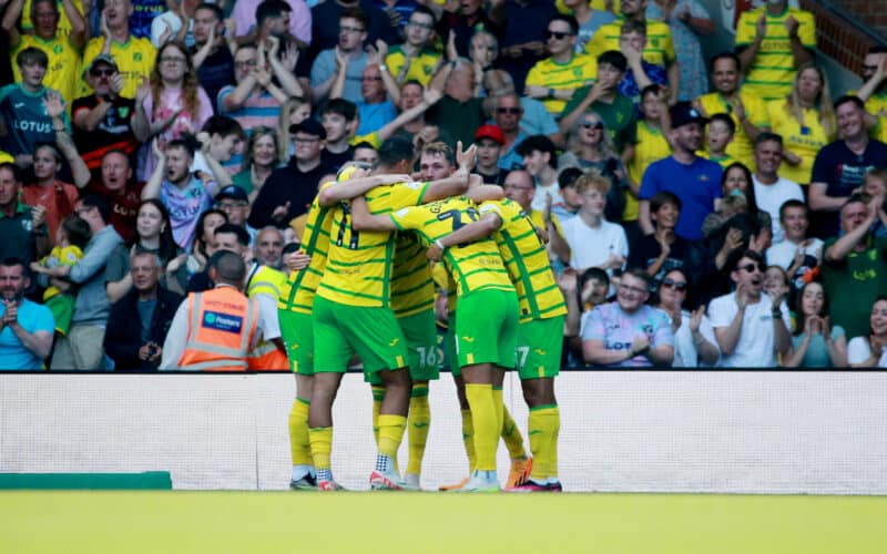 Mattsson starts: Norwich City team news and predicted XI to face ...
