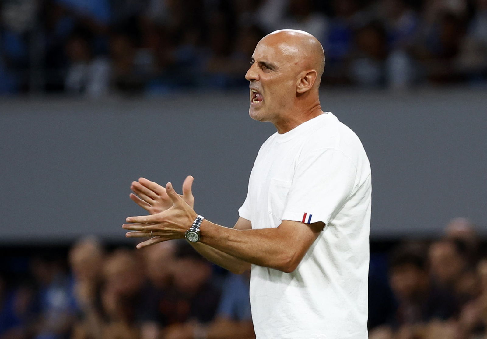 Millwall: Pundit tips Kevin Muscat to be a good fit for the Lions