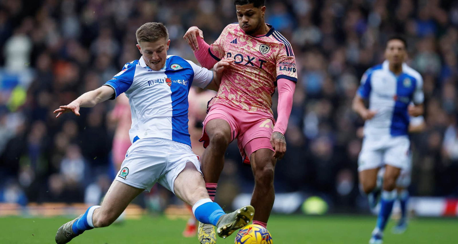 Blackburn Rovers: Scott Wharton injury boost
