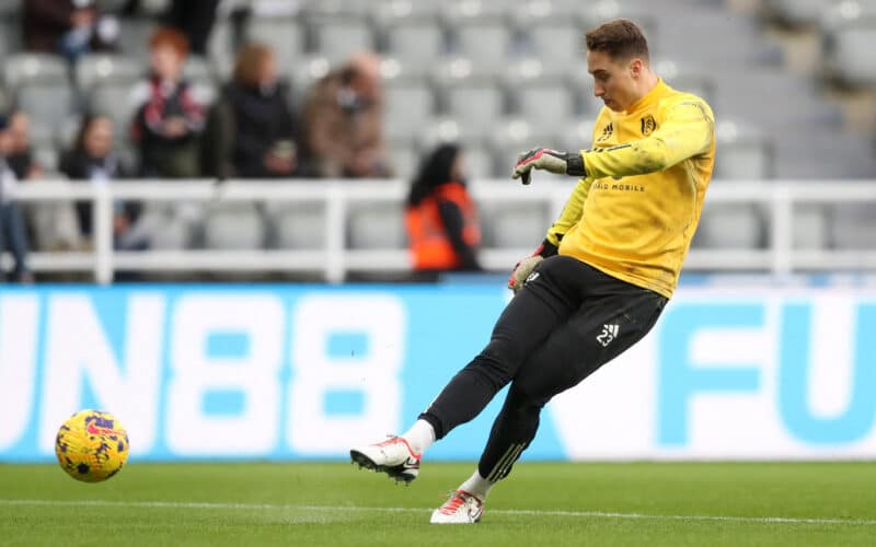 Millwall set to complete loan deal for Fulham 'keeper Steven Benda
