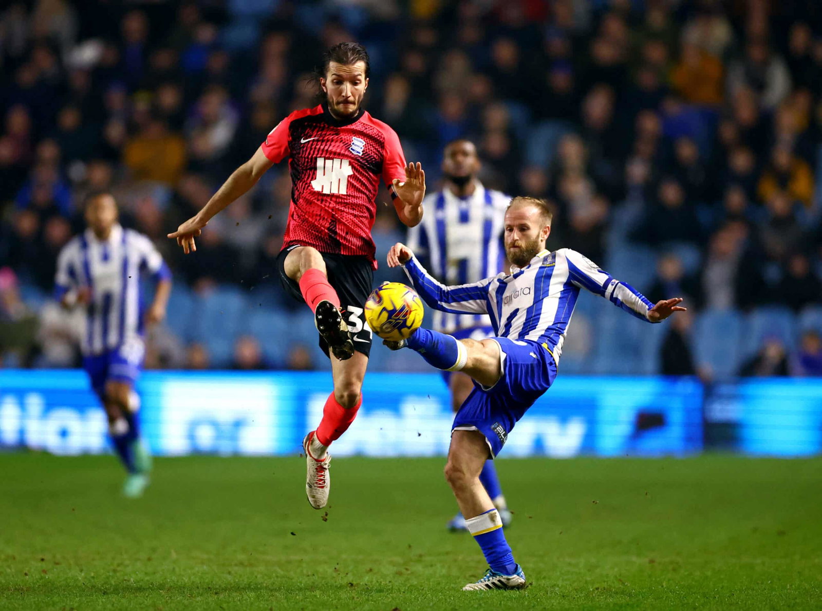 Danny Rohl 'very convinced' over future of Sheffield Wednesday star ...