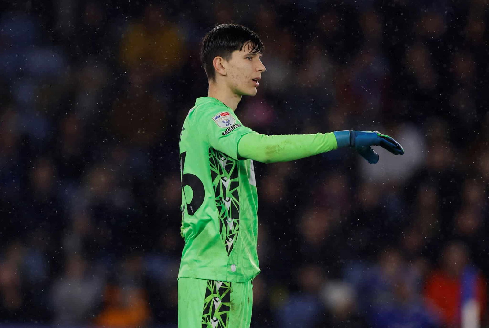 Sheffield Wednesday's James Beadle hailed by Danny Rohl