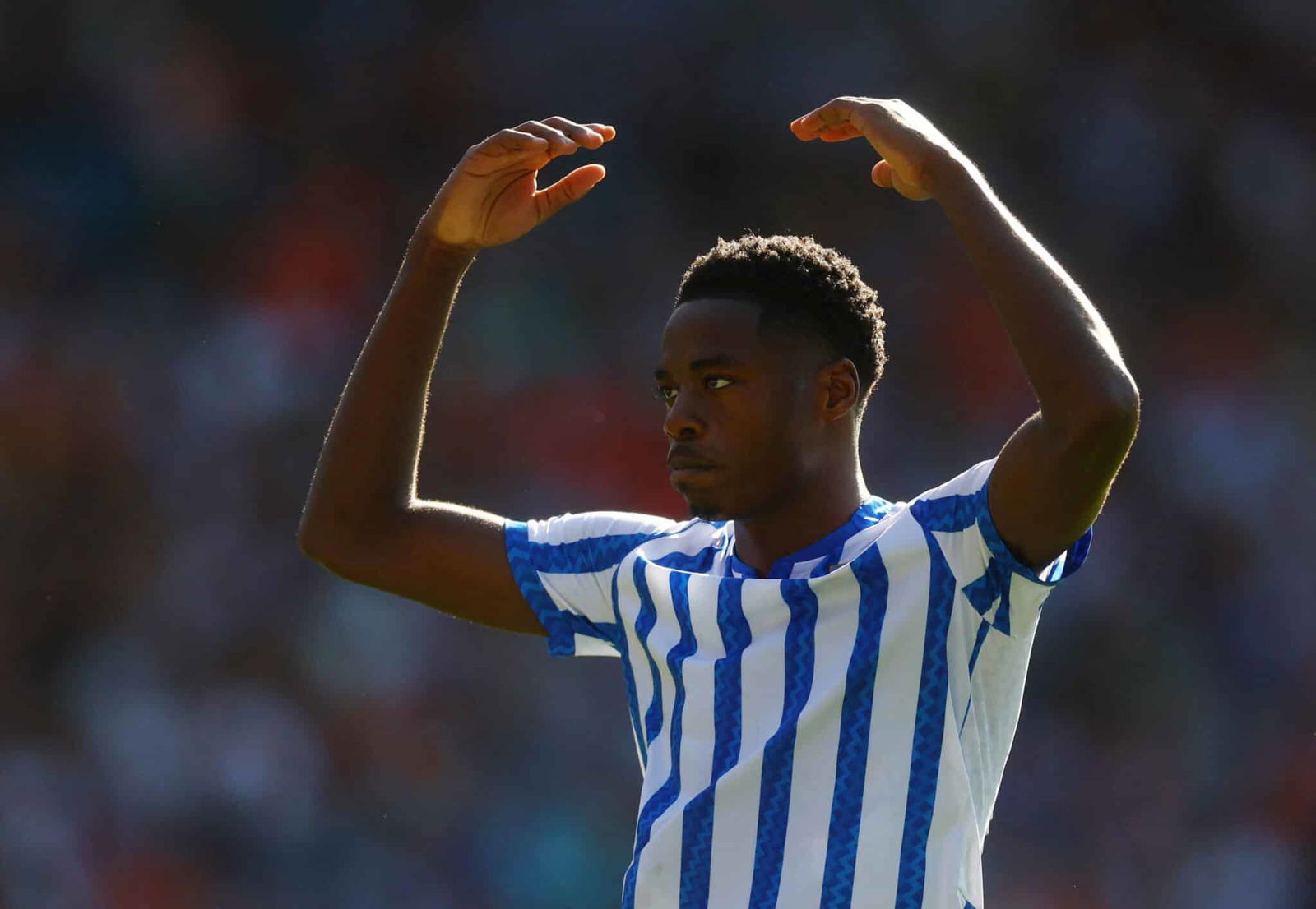 Sheffield Wednesday: How is Anthony Musaba faring in Turkey?