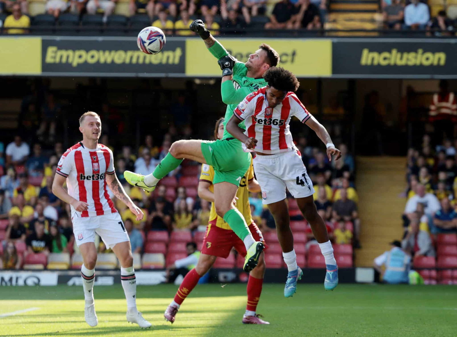 Watford FC: Daniel Bachmann returns from loan amid injury blow