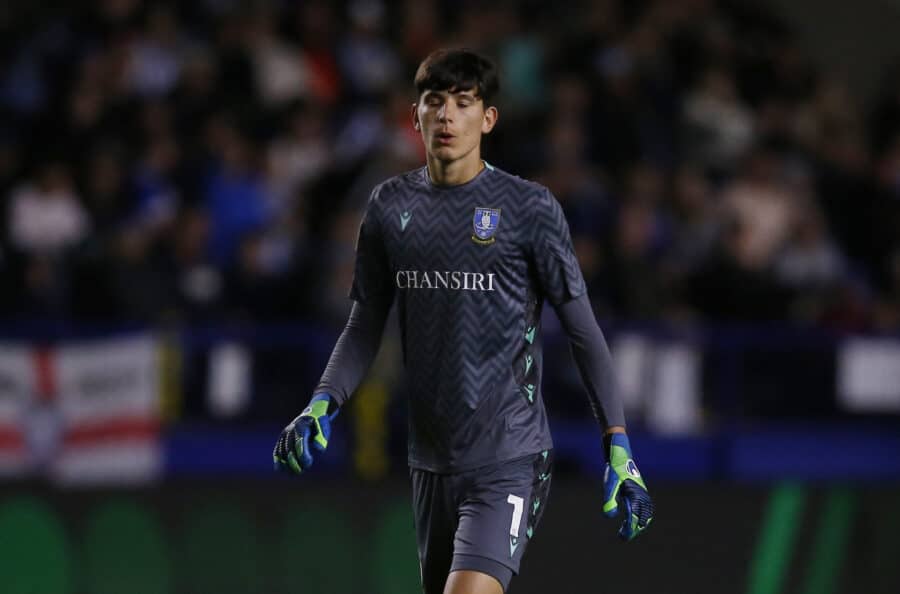 Sheffield Wednesday: James Beadle recall details ahead of January