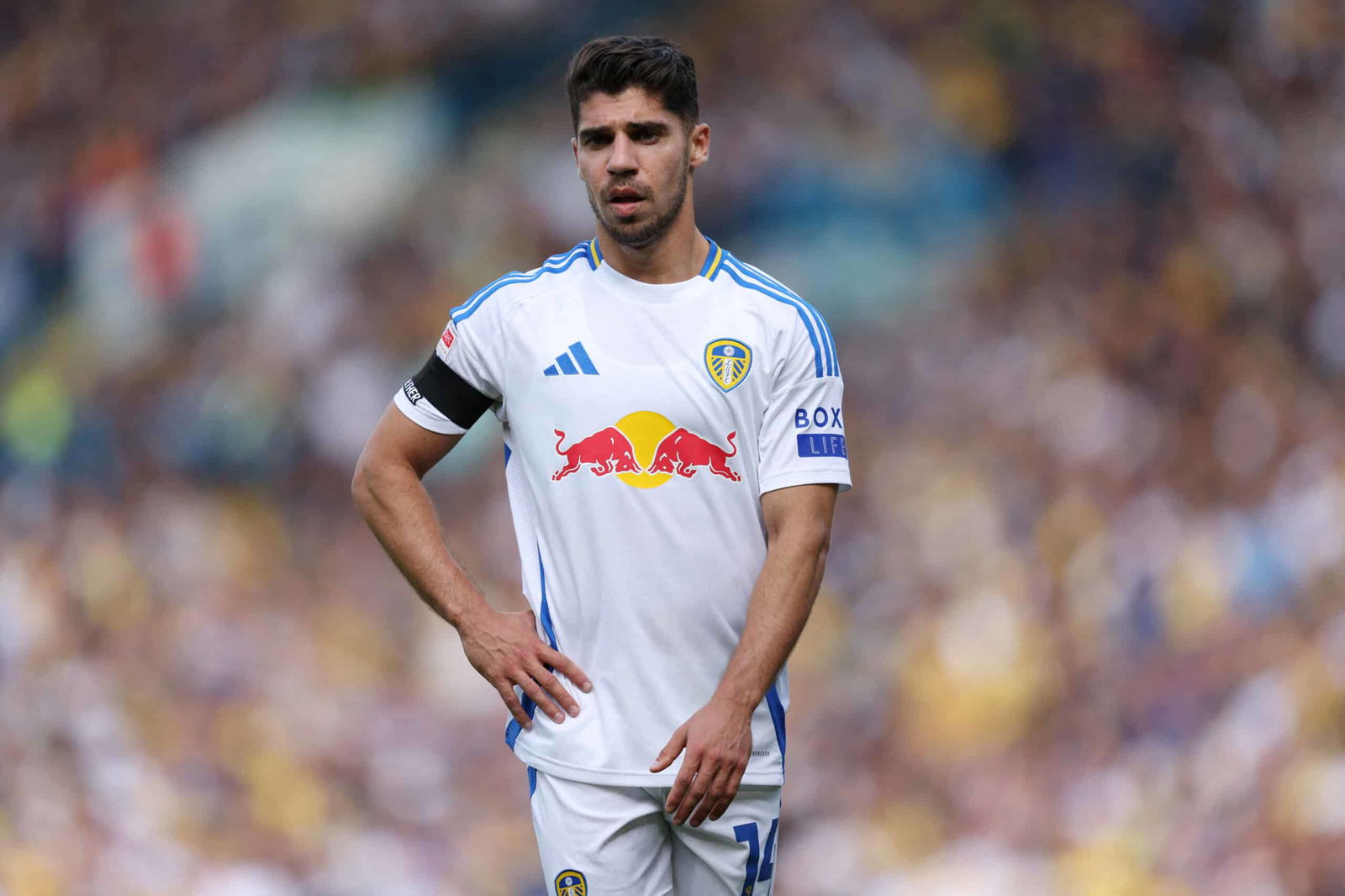 Leeds United: £20m Manor Solomon price set amid interest abroad