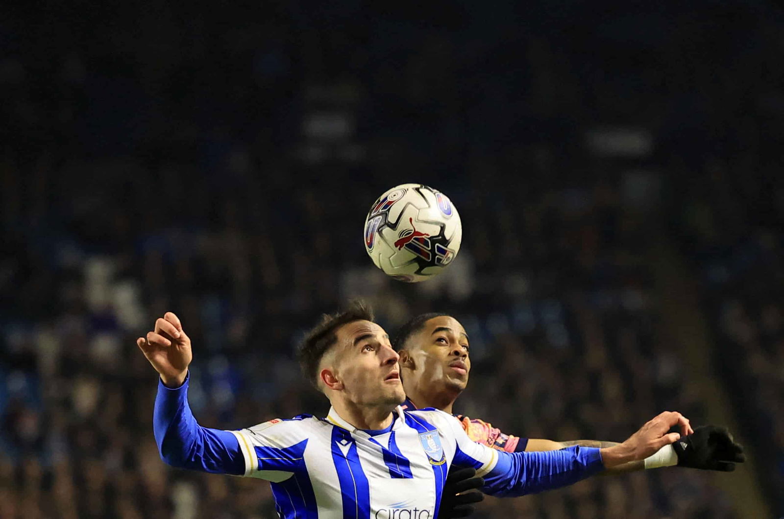 Sheffield Wednesday keen to agree new Pol Valentin contract