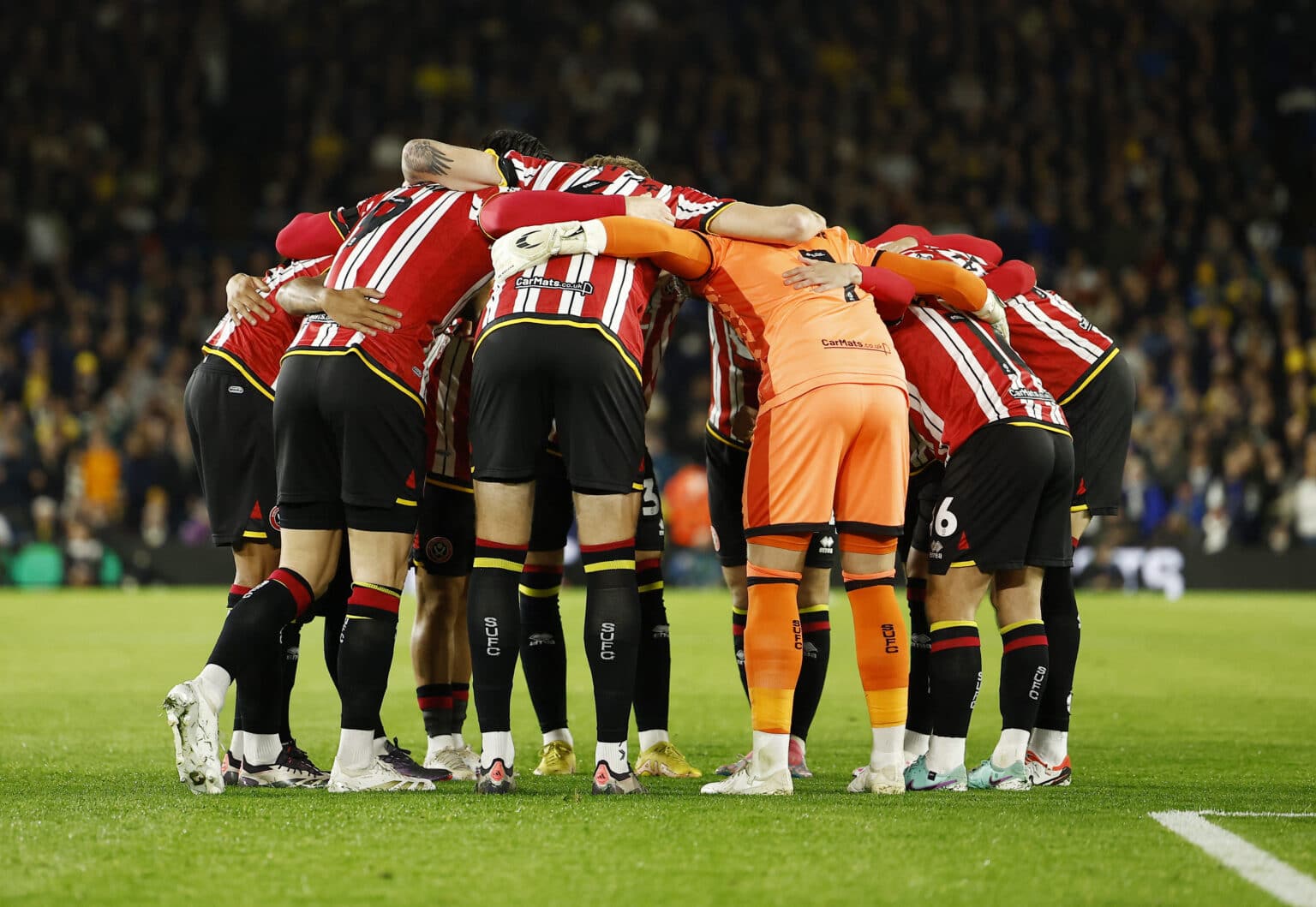 Sheffield United: Hamilton Academical's Cole Hay to join