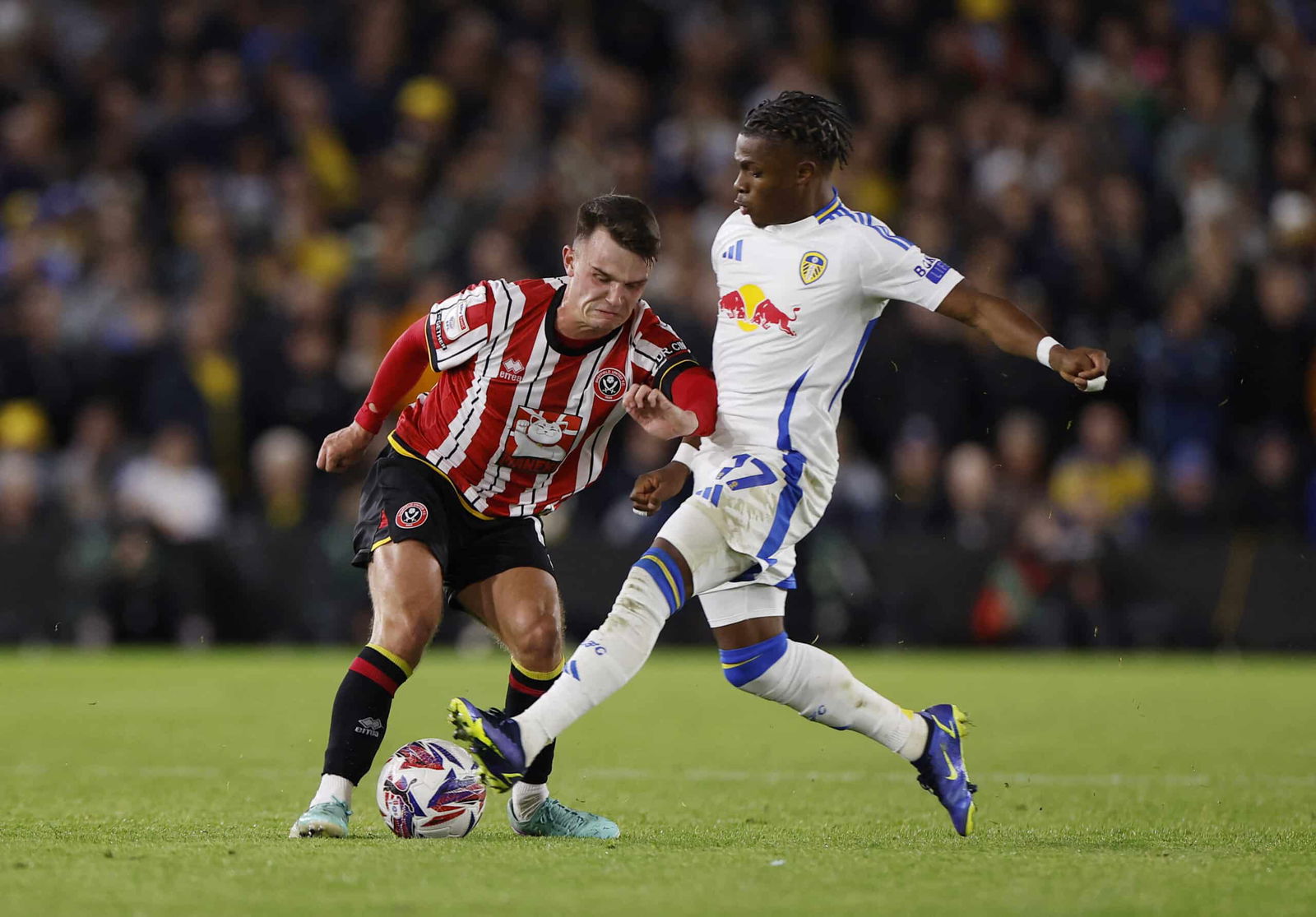 Sheffield United: Jamie Shackleton should get second chance: The72 ...