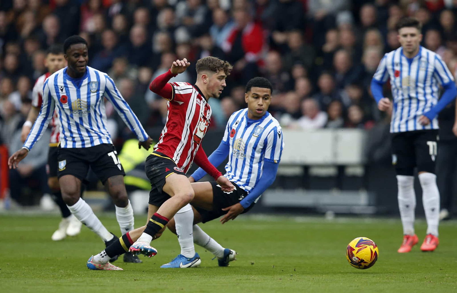 Sheffield United: Ollie Arblaster tracked by Brighton & Hove Albion