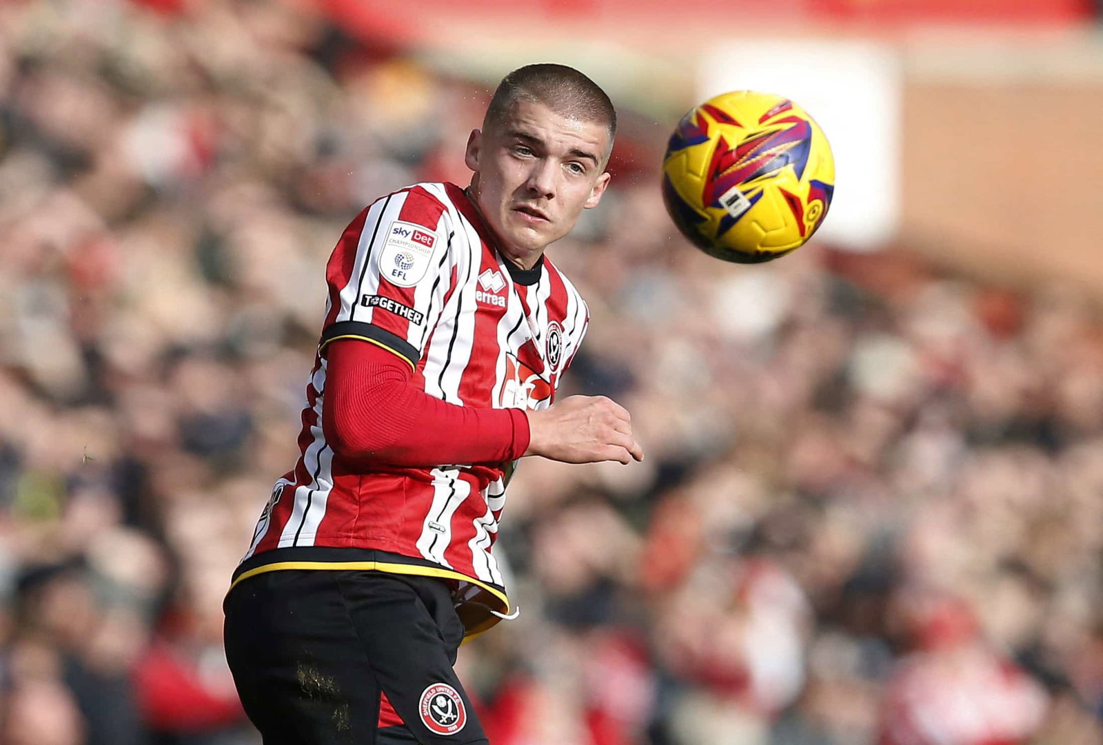 Sheffield United: Chris Wilder reveals Alfie Gilchrist injury blow