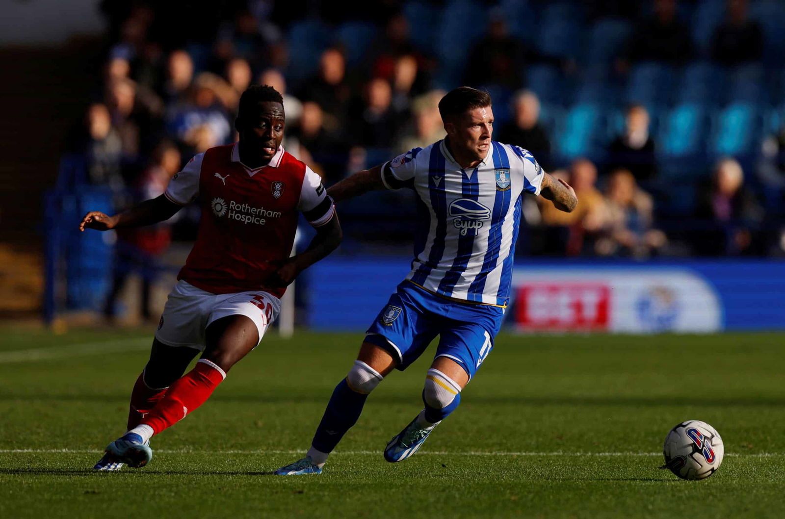Sheffield Wednesday: Danny Rohl on Josh Windass selection