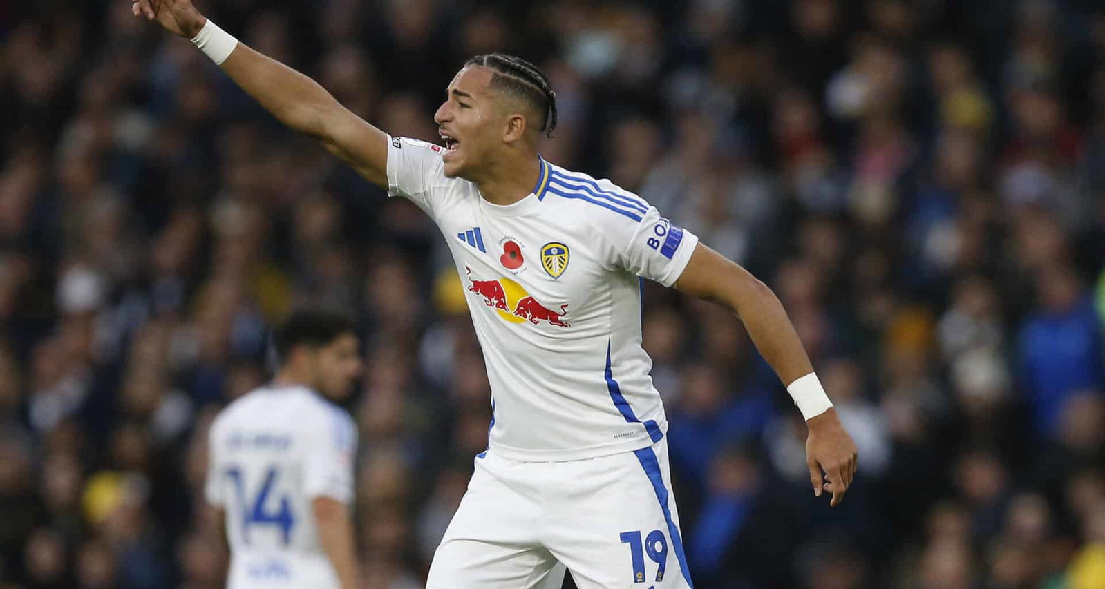 Birmingham City: Blues urged to sign Leeds United's Mateo Joseph