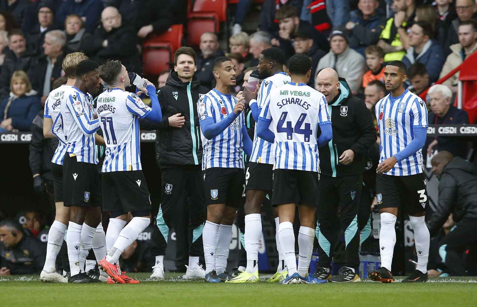 Sheffield Wednesday: Clubs track prolific youngster Will Grainger