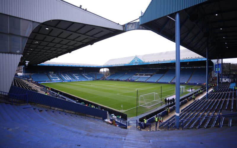 Sheffield Wednesday: George Elek in 'best-case scenario' verdict