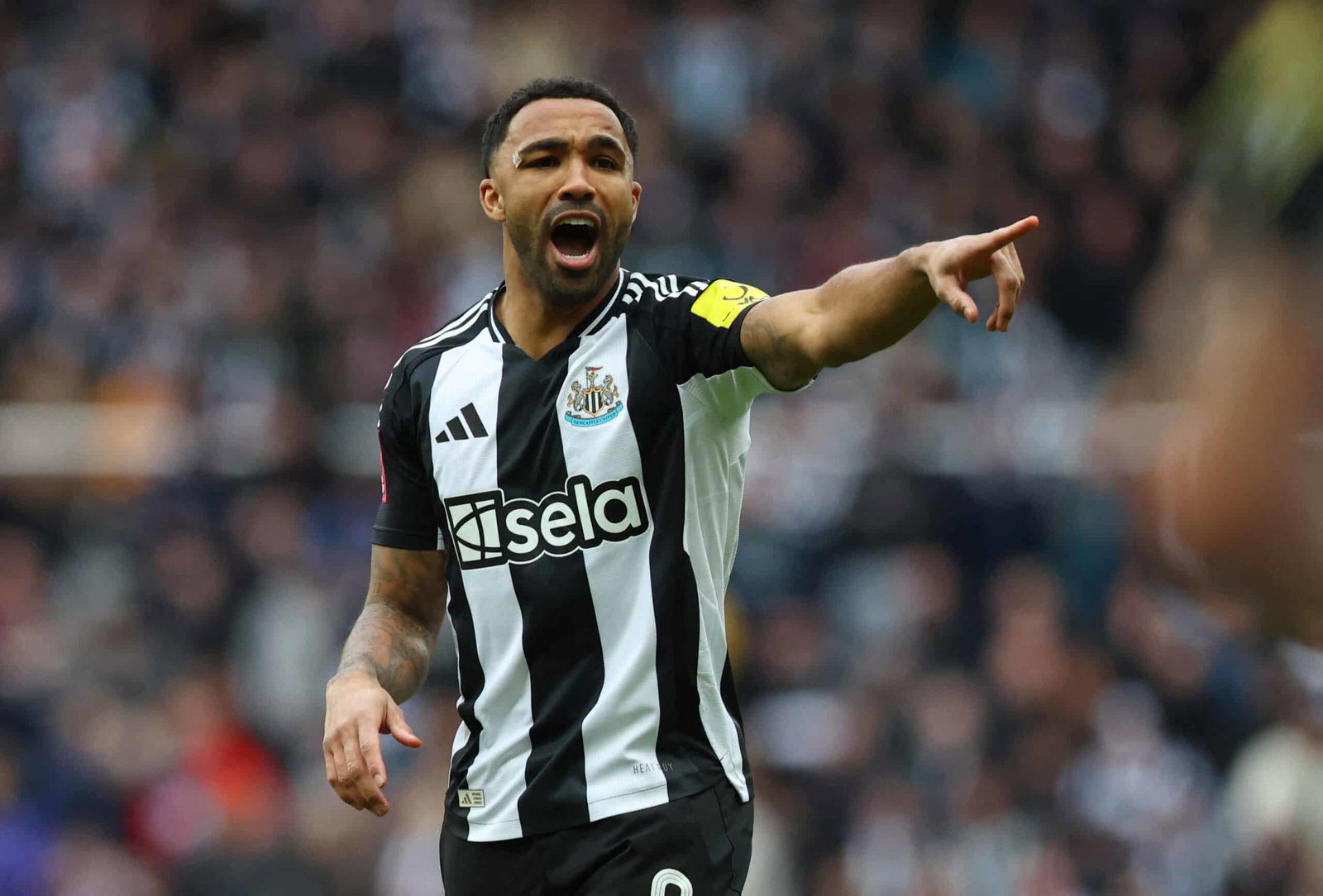 Leeds United: Update emerges on potential Callum Wilson move