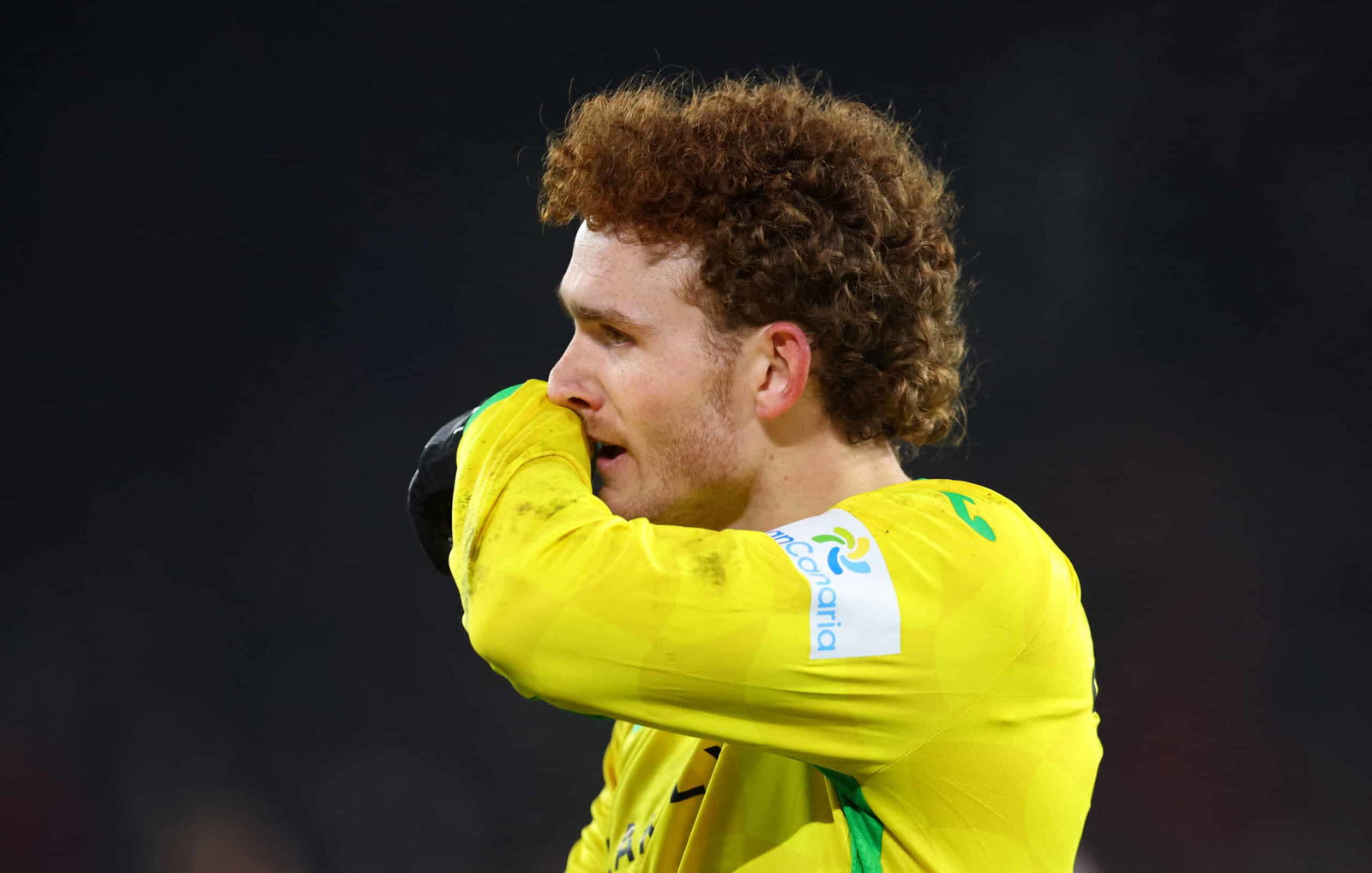 Norwich City: Big-money stars must step up with Sargent support