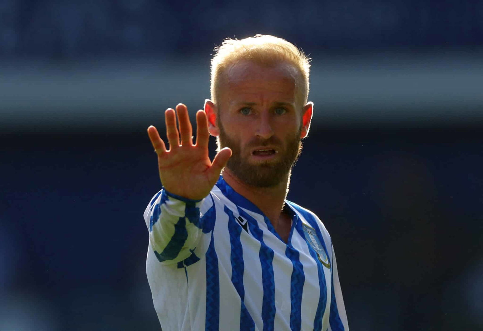 Sheffield Wednesday bring Joshua Bayliss in as new striker trialist