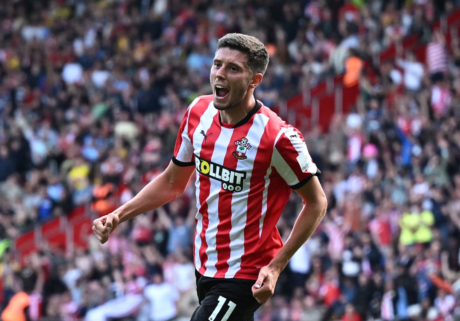 Southampton: Ross Stewart out until 2026 with new injury