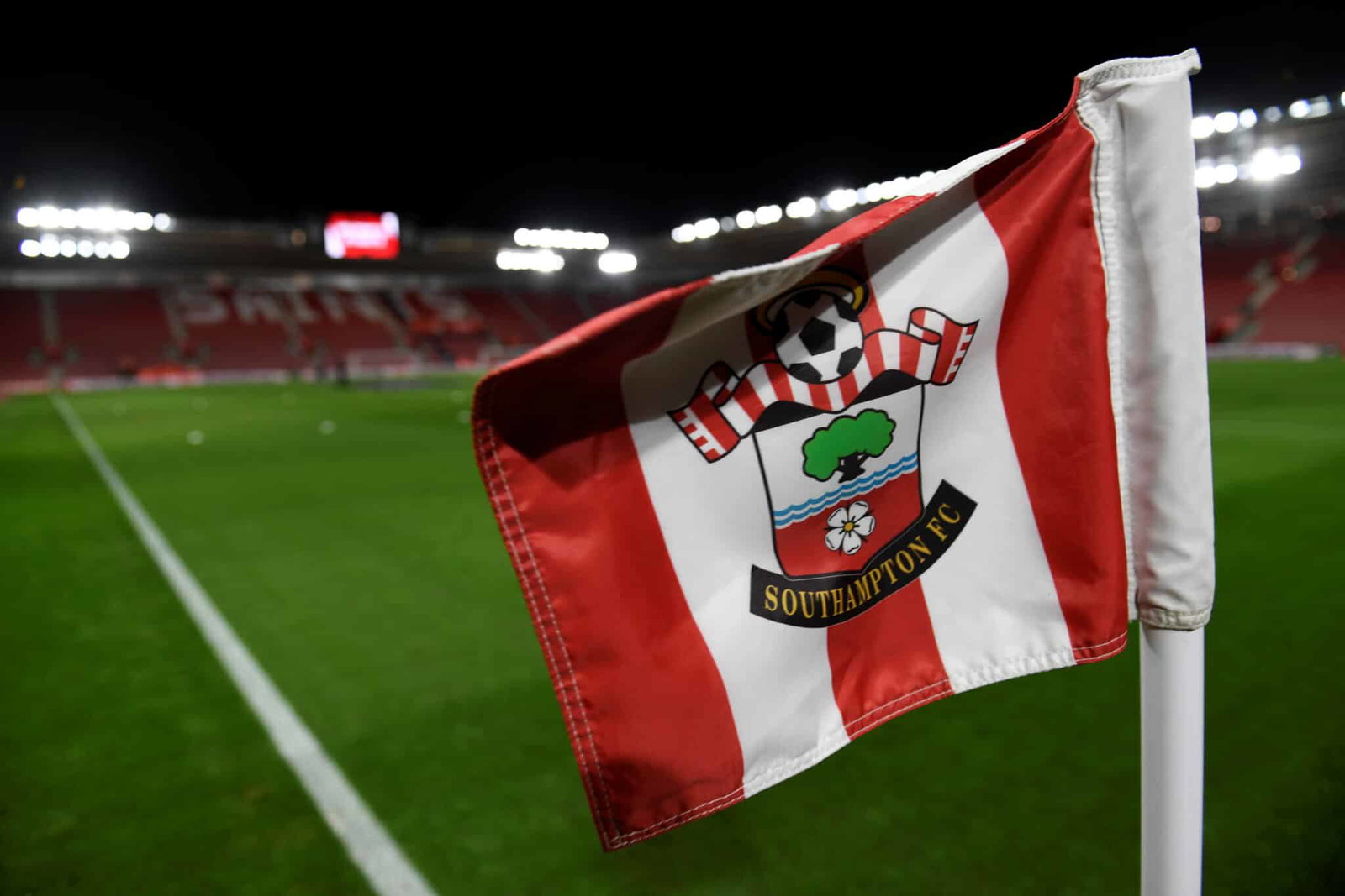 Southampton: Tonda Eckert quizzed over permanent appointment