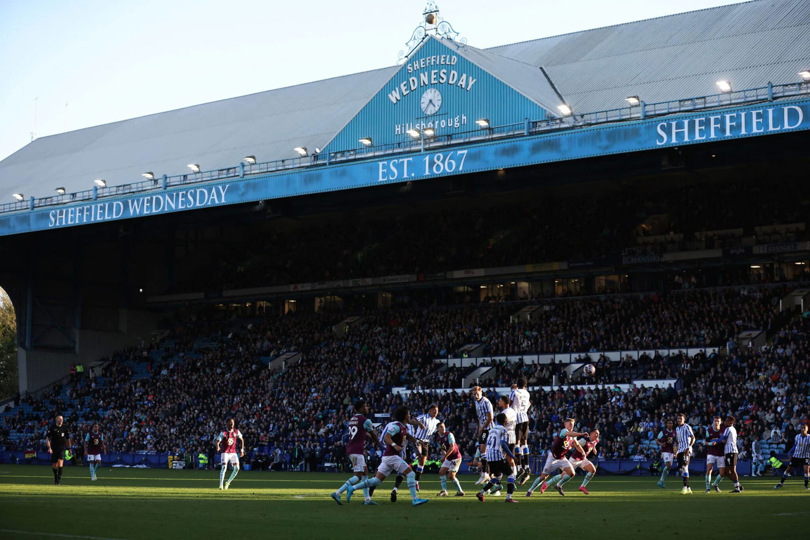 Sheffield Wednesday: Henrik Pedersen hails Jamal Lowe