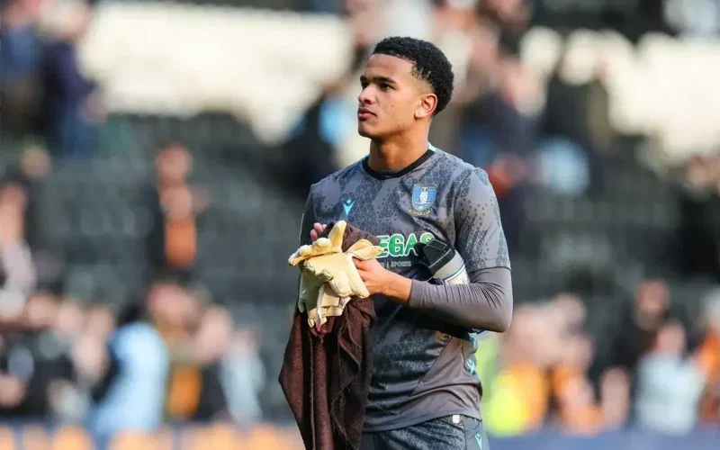 QPR interested in Sheffield Wednesday goalkeeper Pierce Charles