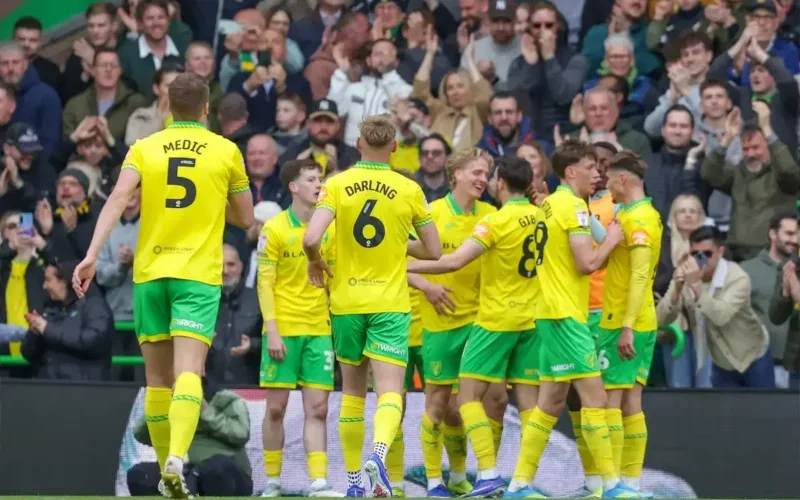Norwich City: 3 signings that must be made this summer window