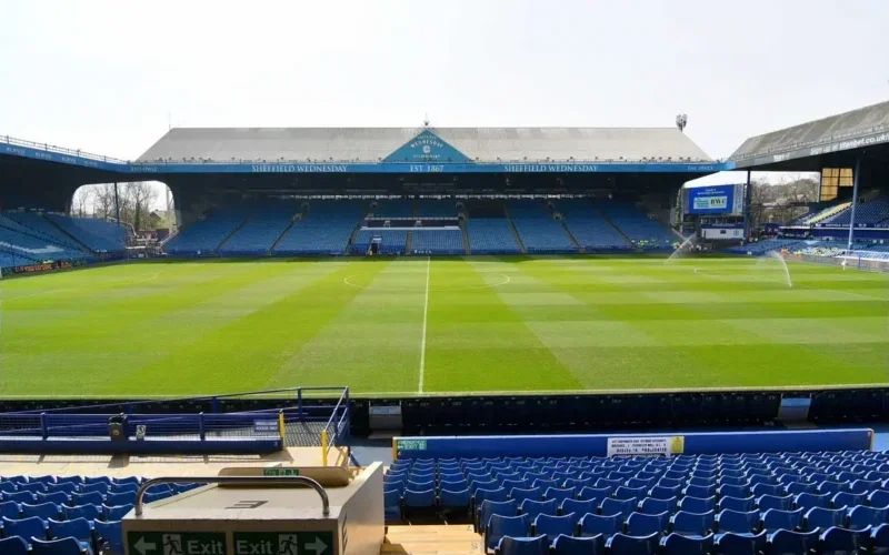 Sheffield Wednesday opinion: Andy Rinomhota update emerges